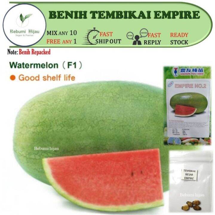 3 pcs biji benih TEMBIKAI BESAR EMPIRE watermelon seed | Lazada