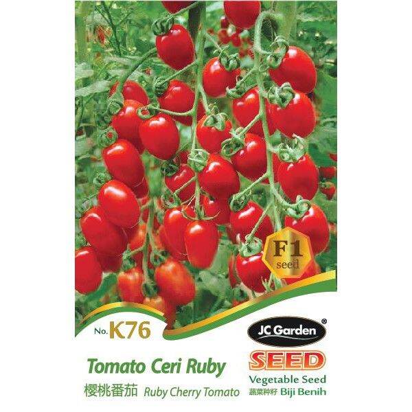 RUBY CHERRY TOMATO JC GARDEN VEGETABLE SEED GARDENING PLANTING TANAMAN ...