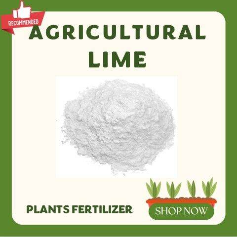 AGRICULTURAL LIME FERTILIZER - 10grams | Lazada PH