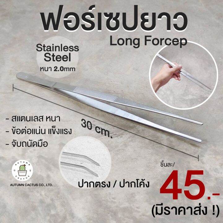 Long Forcep ปากคีบยาว ฟอเซปใหญ่ ฟอร์เซปยาว คีบกระถาง ด้ามตรง สแตนเลส ...