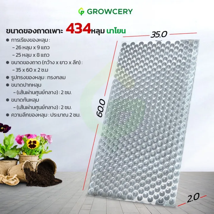 ( จำนวนหลุม 434 หลุม นาโยน) [G] ถาดเพาะ ถาดเพาะกล้า ถาดเพาะปลูก ถาดเพาะเมล็ด ถาดเพาะชำ หลากหลาย ...