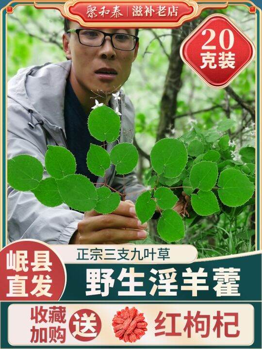 Gansu Epimedium Leaf ยาจีนป่าวัสดุ Maca Cynomorium ม้ามอมตะไวน์ชาสำหรับ ...
