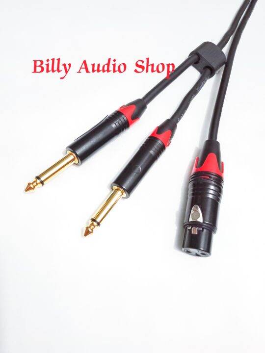 Kabel Audio Canon XLR Female to Akai Mono 6.5mm Cabang Panjang Kabel ...