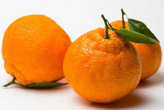 [Fresh Fruit] Ugly Ponkan | Lazada PH