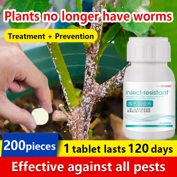 [HOT SALE!!!!!] Effective for 120 days. Aphid elimination drug ...