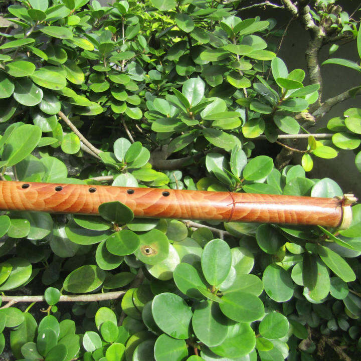 Suling bambu khas bali motif ukiran 35 cm | Lazada Indonesia