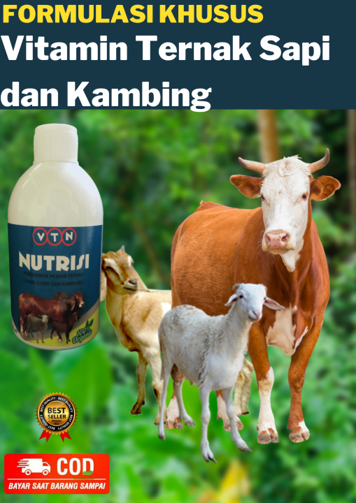 Vitamin Ternak Penggemukan Kambing dan Sapi 250ml | Lazada Indonesia