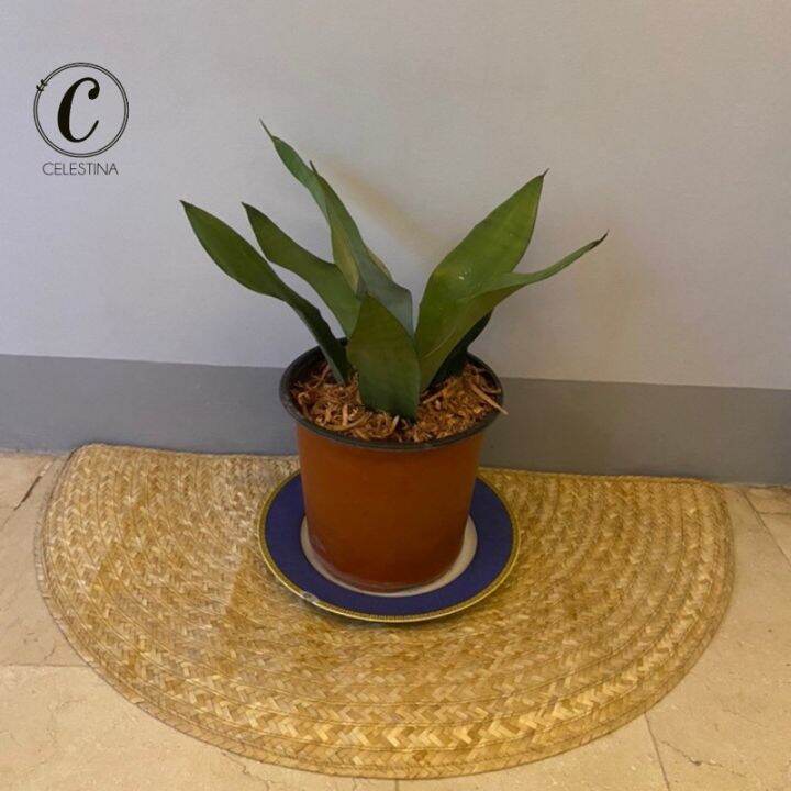 carpet floor sala sale buri pet semicircle pet semicircle mat buri ...