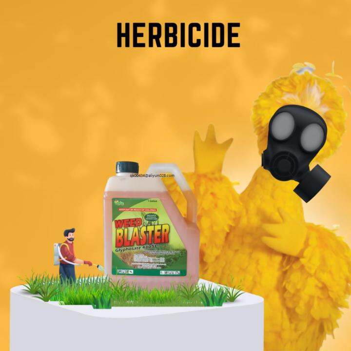 under bed storage box plastic clothes storage box under the bed ...