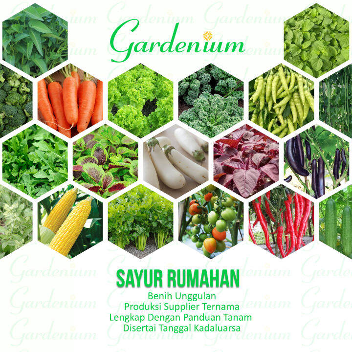 Macam Macam Benih Sayuran Rumahan Paktani , Bawang Bayam Brokoli Buncis ...