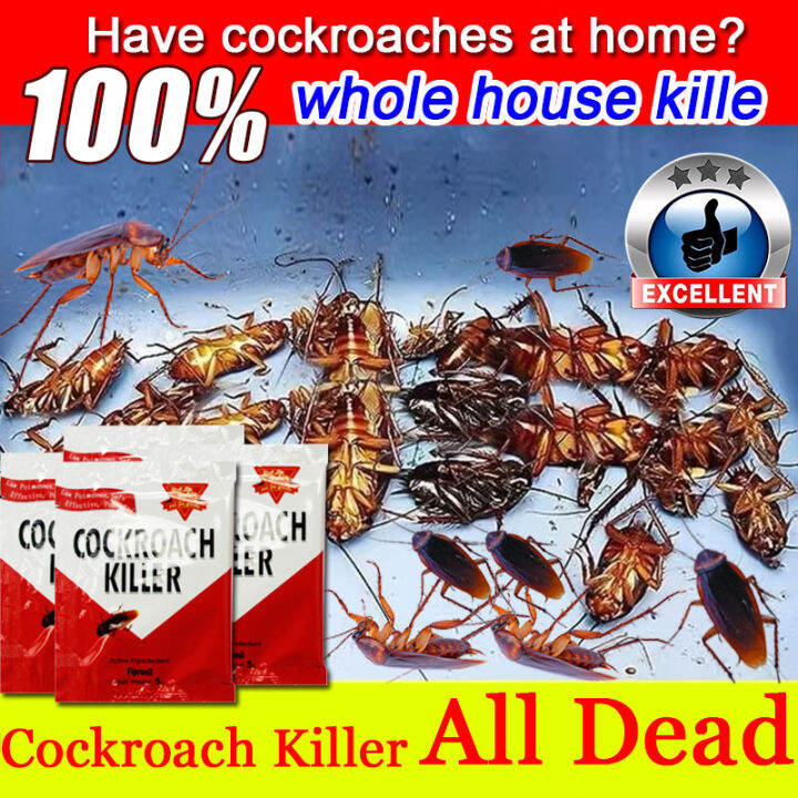 Cockroach Killer Bait Effective Cockroach Medicine Powerful Killing ...
