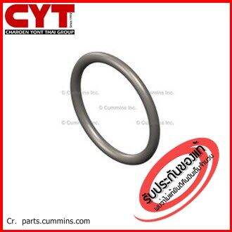 โอริงแป๊ปราวน้ำมันโซล่า KTA19,KTA38,KTA50 | Seal O Ring 3001340 ...