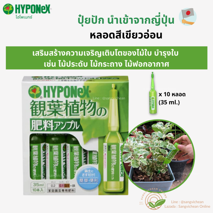 ปุ๋ยปัก (สีเขียวอ่อน) ปุ๋ยHyponex Ampoel (ไฮโพเนกซ์ แอมเพิล) ปุ๋ยนำเข้าจากญี่ปุ่น ปุ๋ยหลอด ปุ๋ย ...