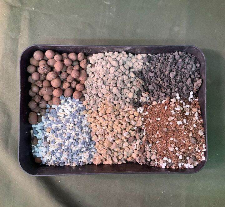 Succulents Special Mixed Soil/Golden Medical Stone/Germany Lecca ...