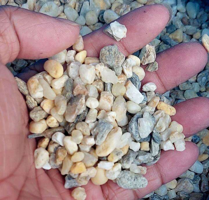 Radiant 7-Color Pebble Stones: 500g for Vibrant Aquarium and Garden ...