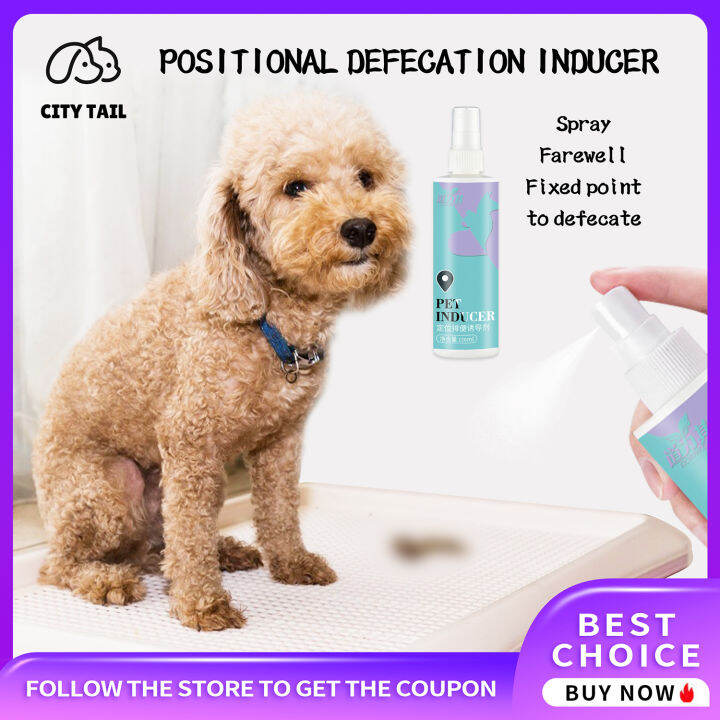 City Tail Pet positioning inducer dog toilet marking training ...