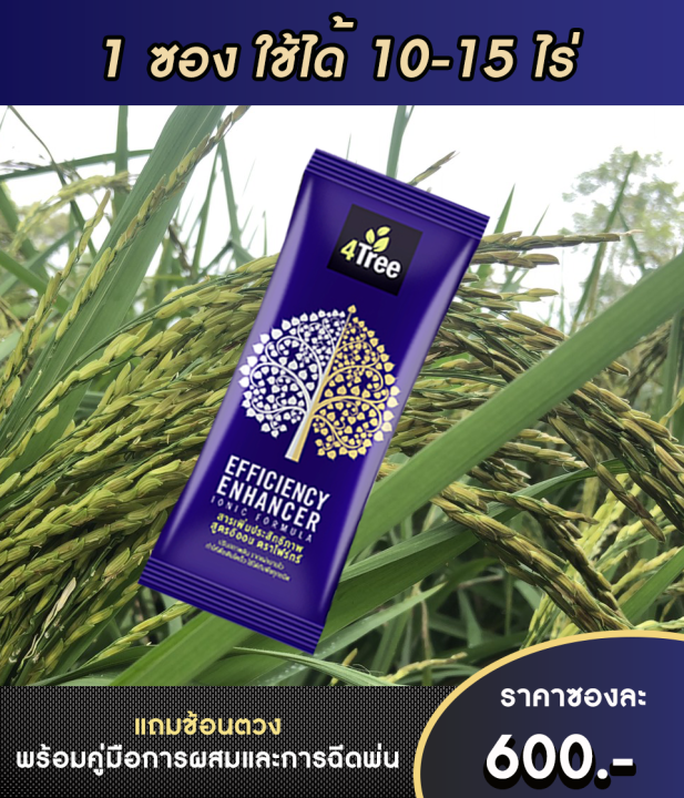 4Tree (โฟร์ทรี) 3 ซอง สารเสริมประสิทธิภาพ สูตรอิออน พืชโตเร็ว จากประเทศ อิสราเอล ของเเท้100% ...
