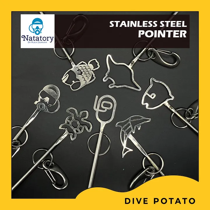 Stainless Steel Pointer 30 cm Long with Spring Hook and Lanyard ...