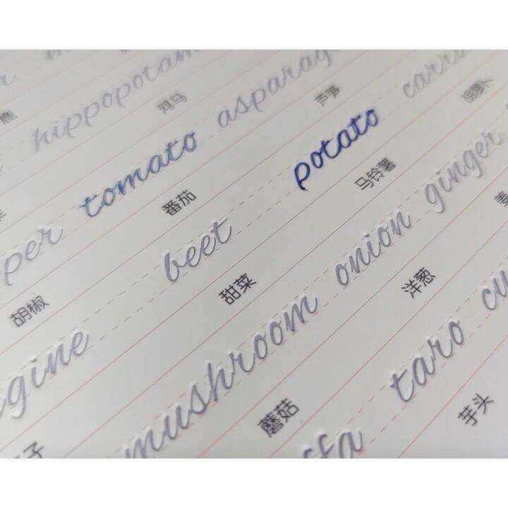 [New Hot Sale] Cursive Writing English Calligraphy Copybook For Adult ...