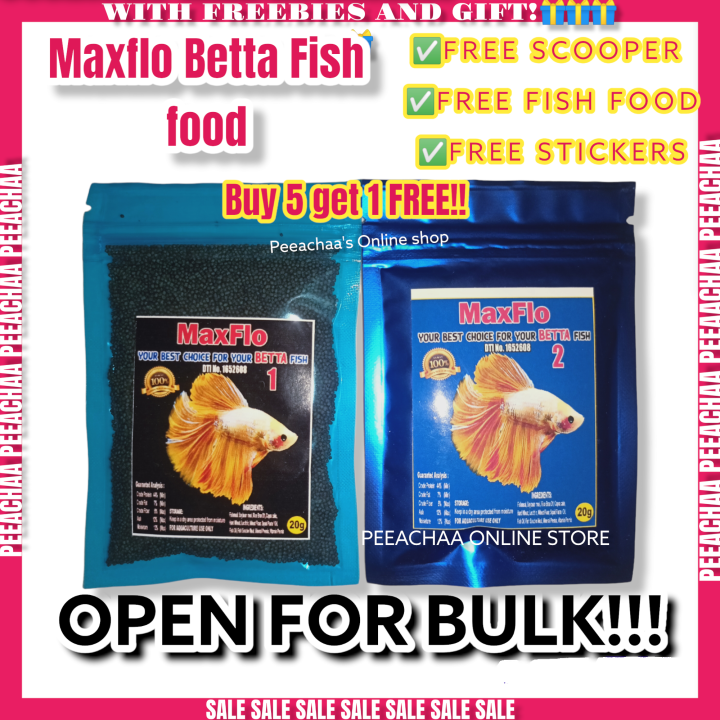 Maxflo Betta fish foods 20g no.1&2 with watchupong free | Lazada PH