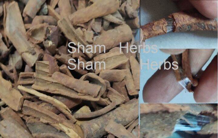 Kulit Serapat.kayu serapat - Paal Pattai 100gm | Lazada