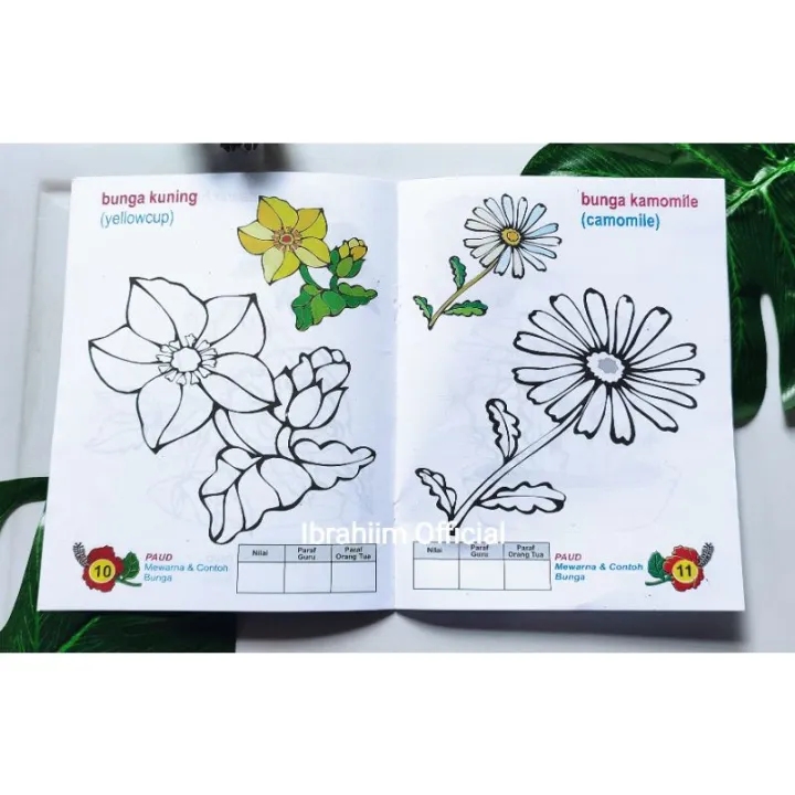 (SERI MEWARNA DAN CONTOH) BUKU MEWARNAI ANAK PAUD/ BUKU ANAK ANAK ...