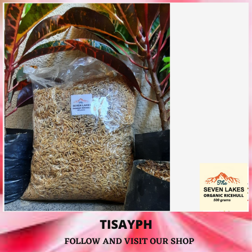 COD 500GRAMS RICE HULL / IPA NG PALAY (500g) GARDEN SOIL ENCHANCER ...
