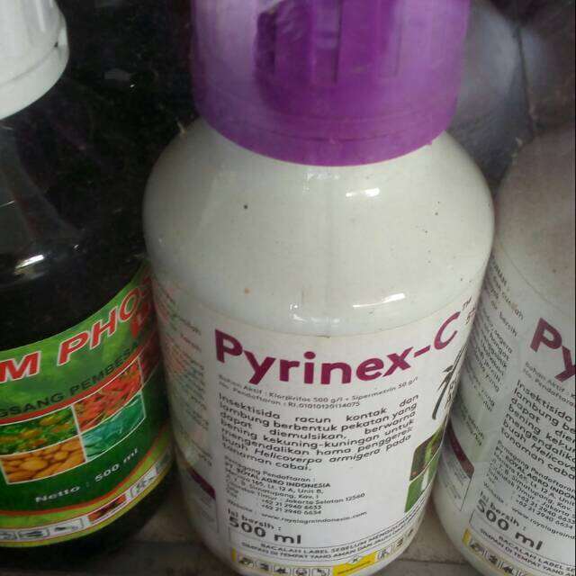 insektisida PYRINEX-C 550EC 400ml | Lazada Indonesia