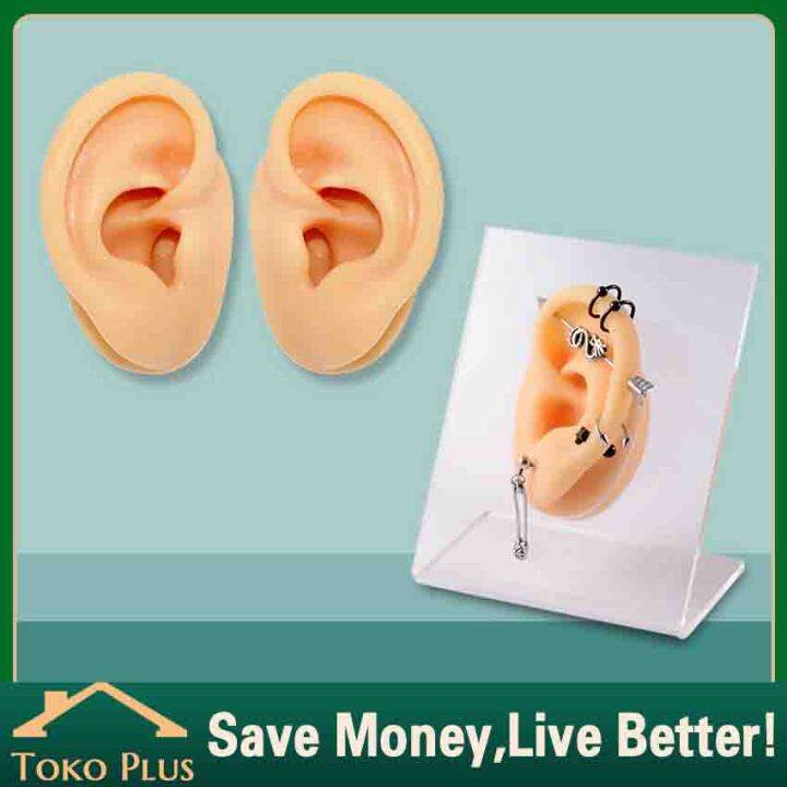 Model Telinga Silikon Alat Tindik Latihan Profesional Anting Giwang ...