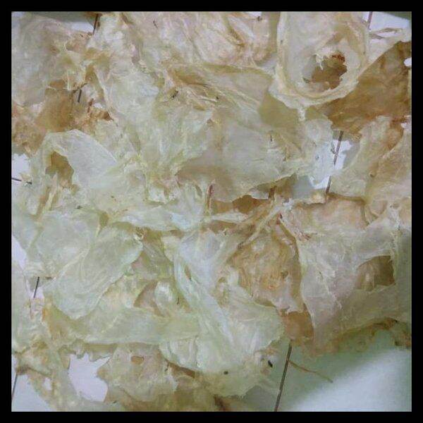 FISH MAW KAKAP PUTIH GELEMBUNG IKAN KERING 50GR MAKANAN KHAS CHINESE ...