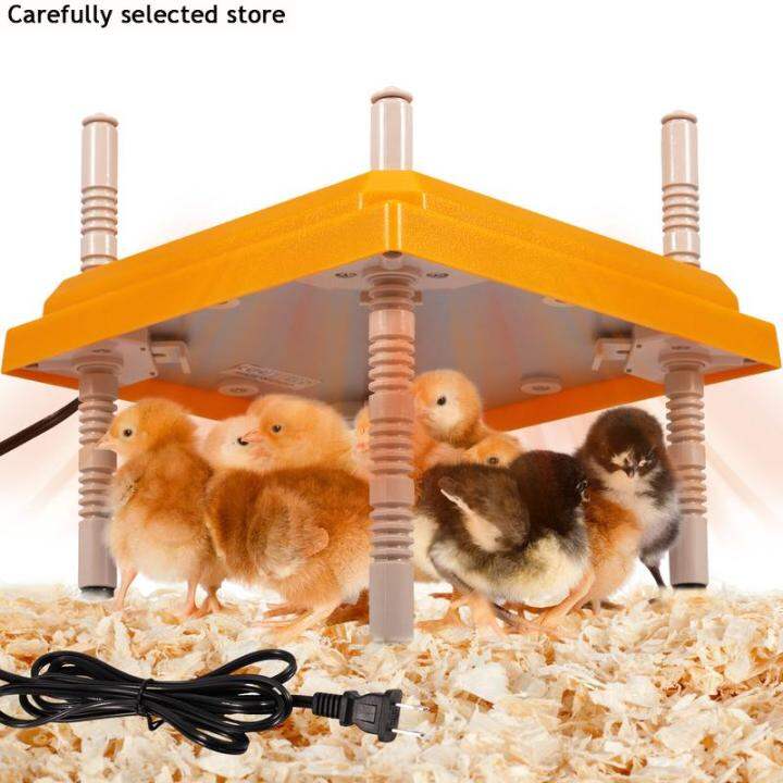 Brooder Heater for Chicks 10x10inch 15W Thermostatically Controlled ...