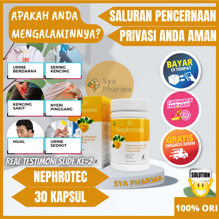 Nephrotec Obat Herbal Untuk Pembersih Penyakit Ginjal Bocor Tanpa Cuci ...
