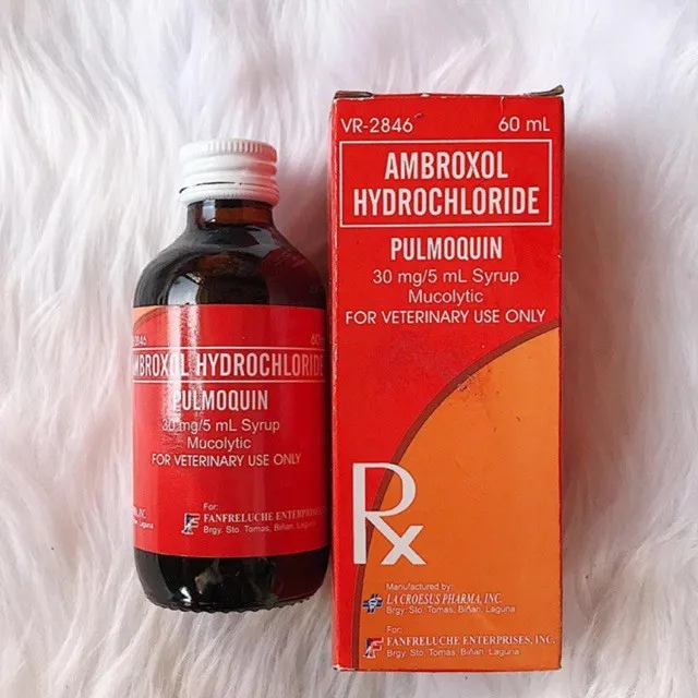 Pulmoquin Syrup Ambroxol for Pets | Lazada PH