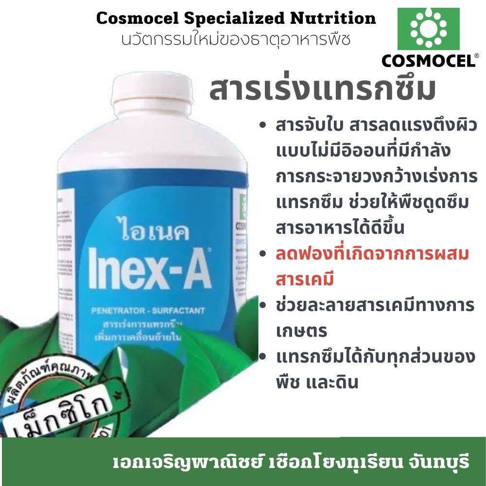 คอสโมเซล ไอเนค เอ Cosmocel Inex-A 1 ลิตร สารจับใบ เสริมประสิทธิภาพการแทรกซึม คุณภาพสูง เกรดพรีเ ...