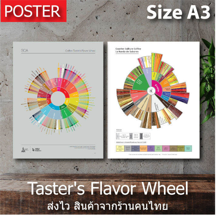 โปสเตอร์ Poster Coffee X2 Coffee Taster's Flavor Wheel Poster (A3 Size ...
