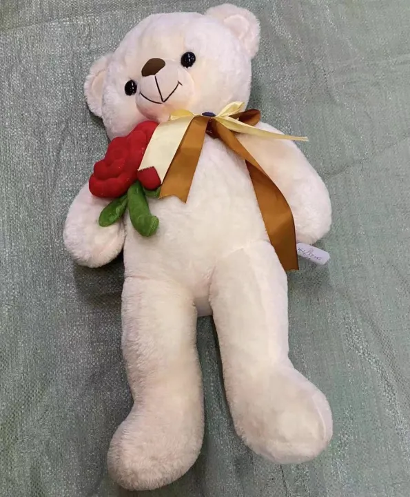 huggable teddy bear/ stuff toys | Lazada PH