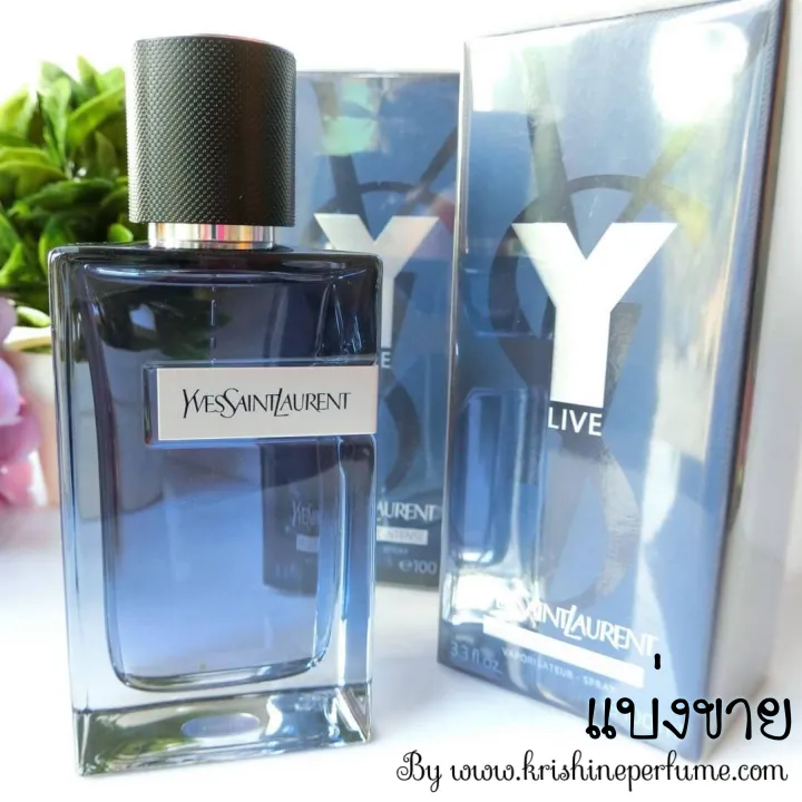 YSL Y Live EDT Intense น้ำหอมแท้แบ่งขาย | Lazada.co.th