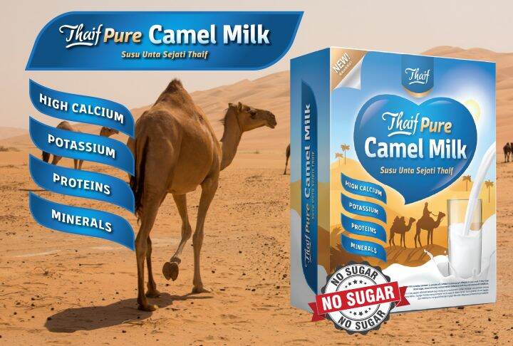 SUSU UNTA ASLI THAIF 100% ORIGINAL | Lazada