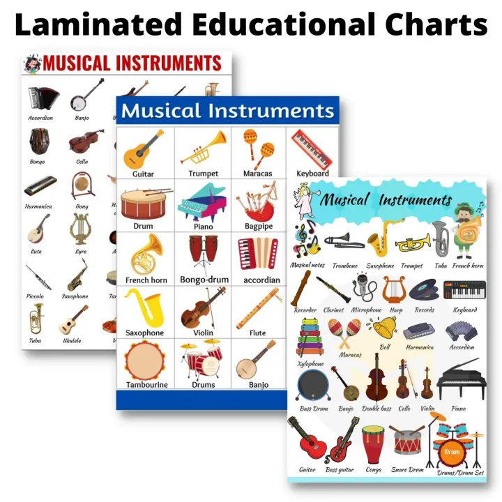 Laminated Musical Instruments Charts for Kids, Learners, Students and ...