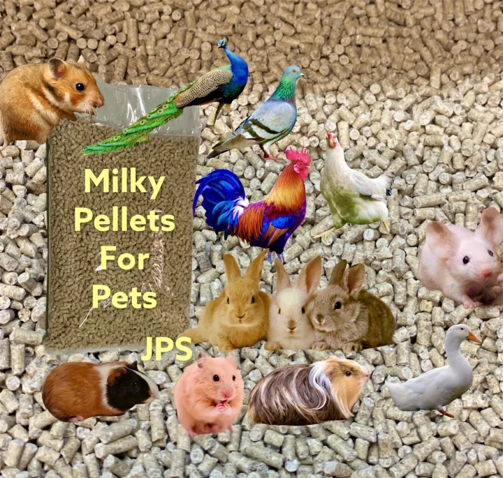 MILKY PELLETS FOR PETS 500g WITH FREE VITAMINS | Lazada PH