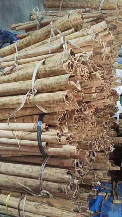 KULIT kayu PULE kering | Lazada Indonesia