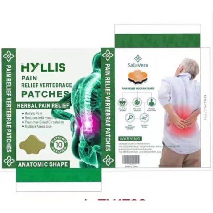 10pcs HYLLIS Pain Relief Patches for Neck Back Vertebrae Knee Sticker ...