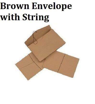 Kraft Envelope (Expanded Brown Envelope) Long size (10pcs per set ...