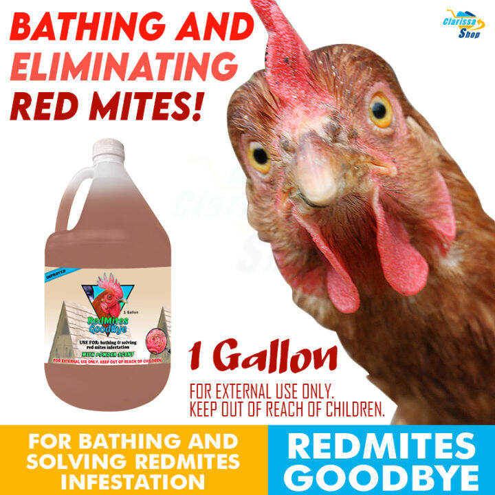 Redmites Goodbye Spray 1 Gallon Natural Redmites Killer ( Pamatay Kuto ...