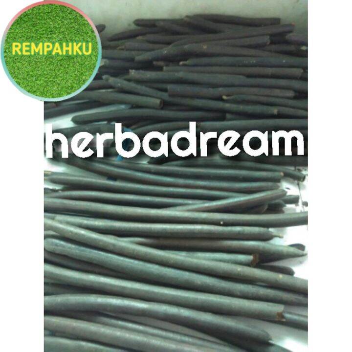 ASAM TRENGGULI KERING 500gr - Cassia fistula - MURNI - JSR - REM ...