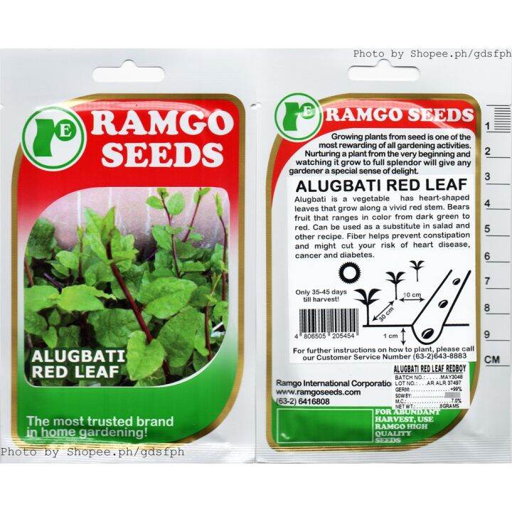 Ramgo RPO Seeds Alugbati Green Leaf and Alugbati Red Leaf 8g (Original ...