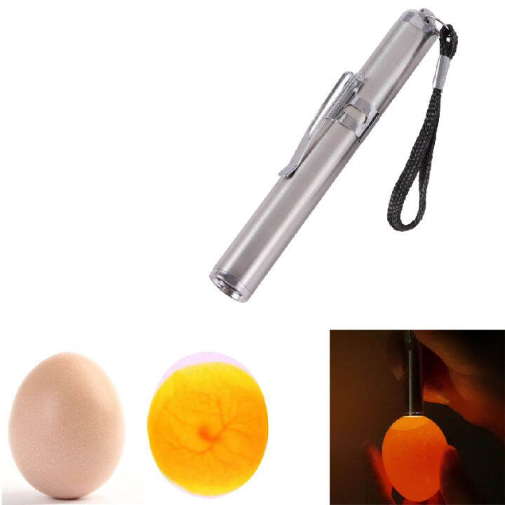 Egg Candler Tester Stainless Steel Cek Telur Cool Light Incubator ...