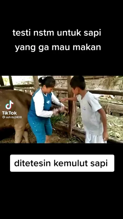 NSTM NASA ORIGINAL | Lazada Indonesia