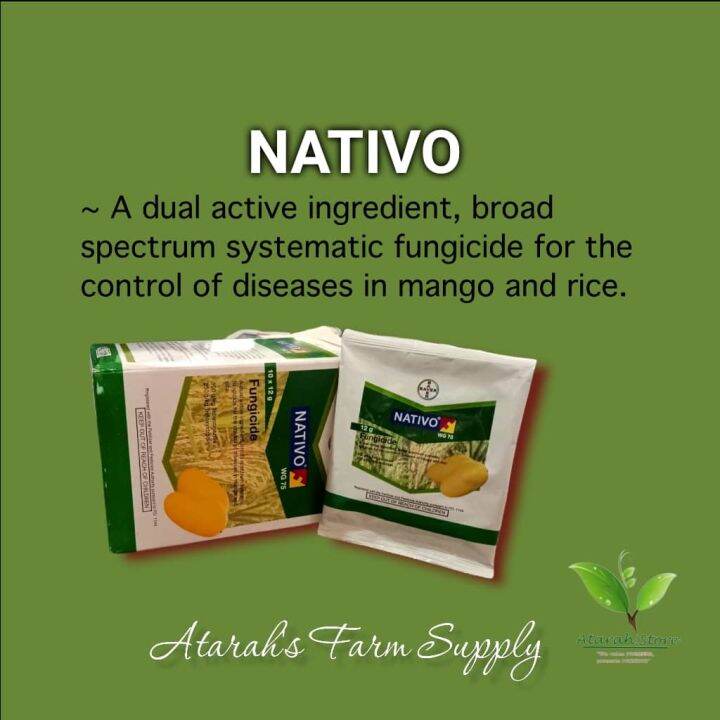 NATIVO WG 75 Fungicide (12gms) | Lazada PH