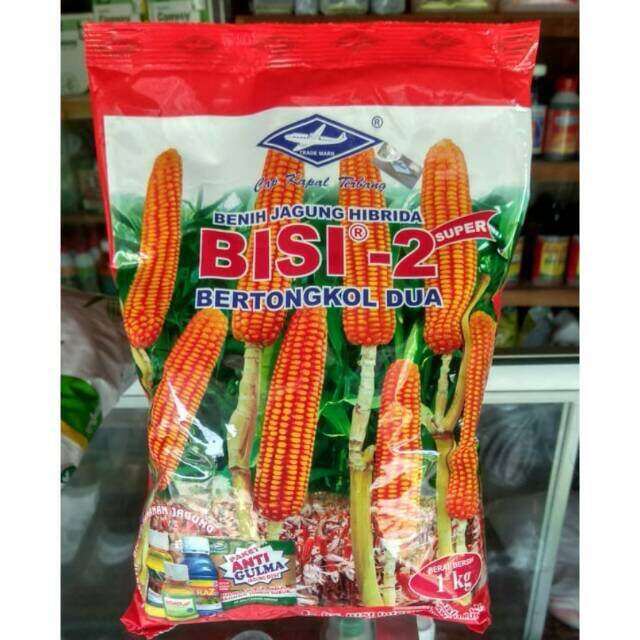 BISI hybrid corn seeds 50 | Lazada PH